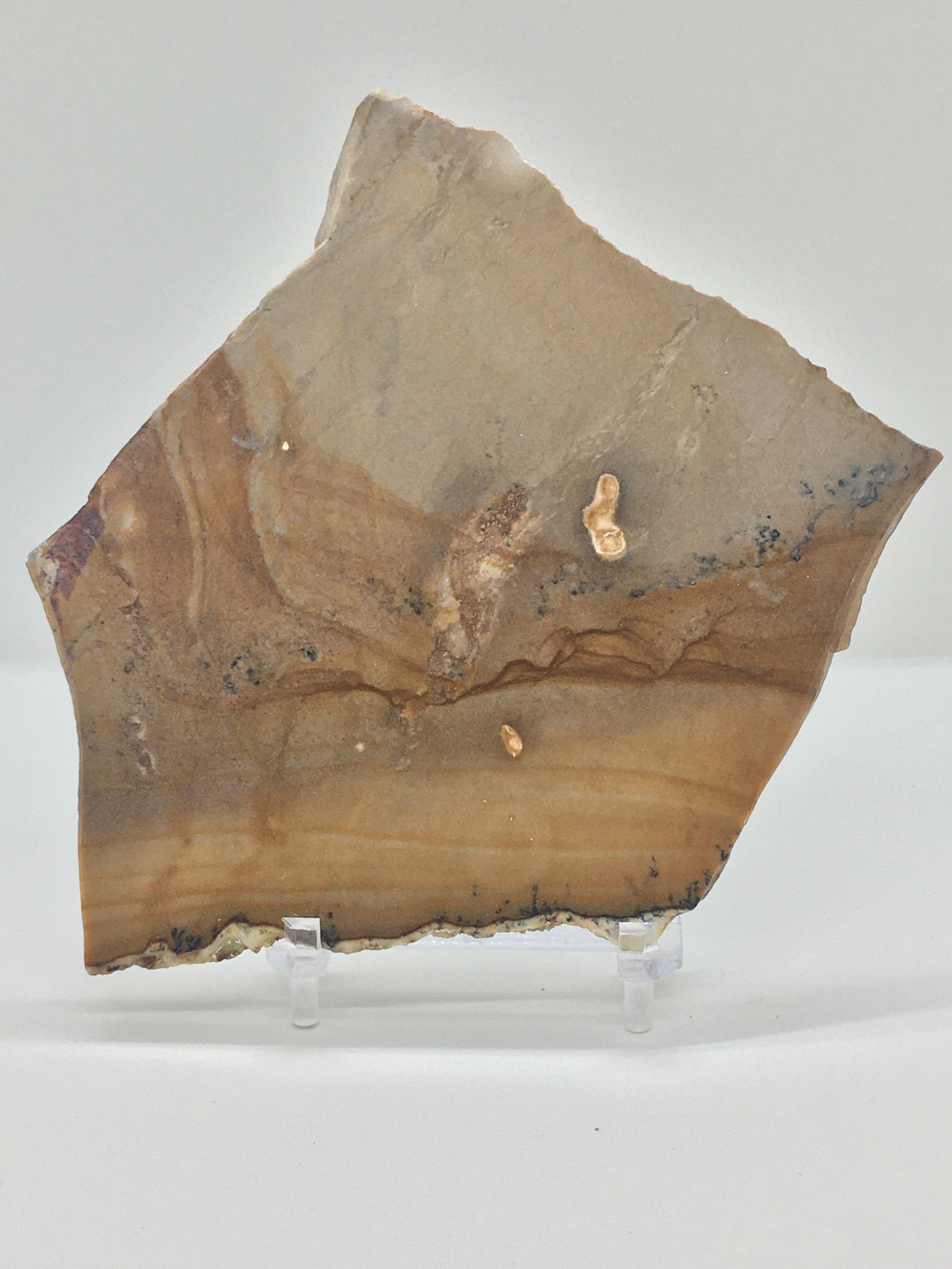 China Hollow Jasper, Oregon - Polished Jasper/opal Slab + Stand - Etsy