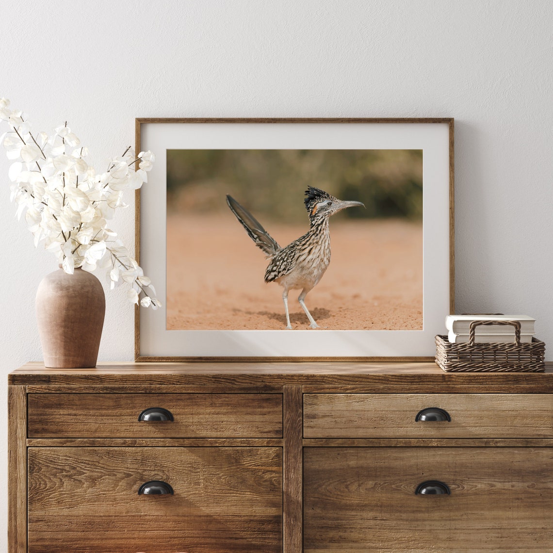 Road Runner Wall Art, Desert Bird, Road Runner Photo, Wildlife ...