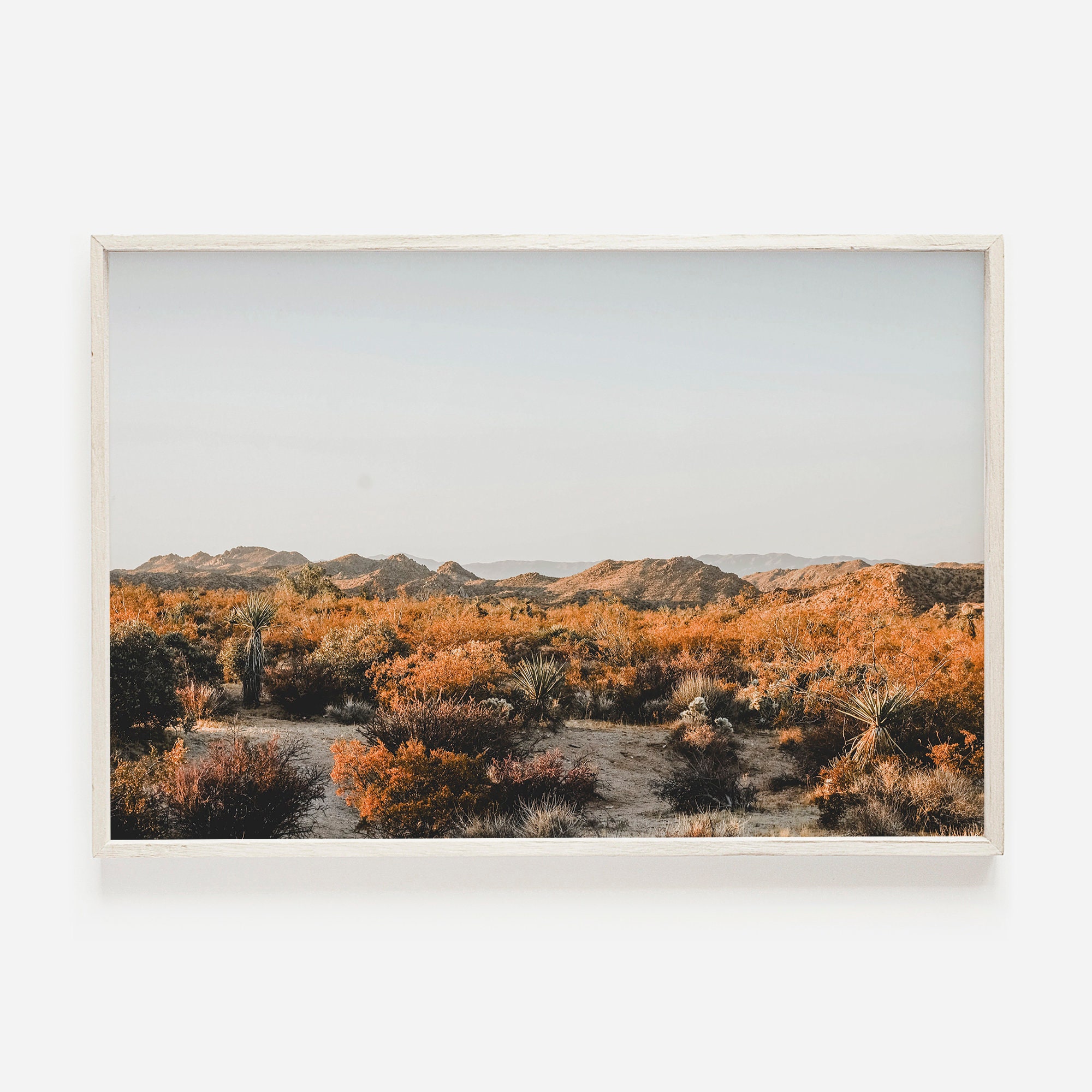 Boho Desert Wall Art, California Landscape, Sunset Desert Print, Boho ...