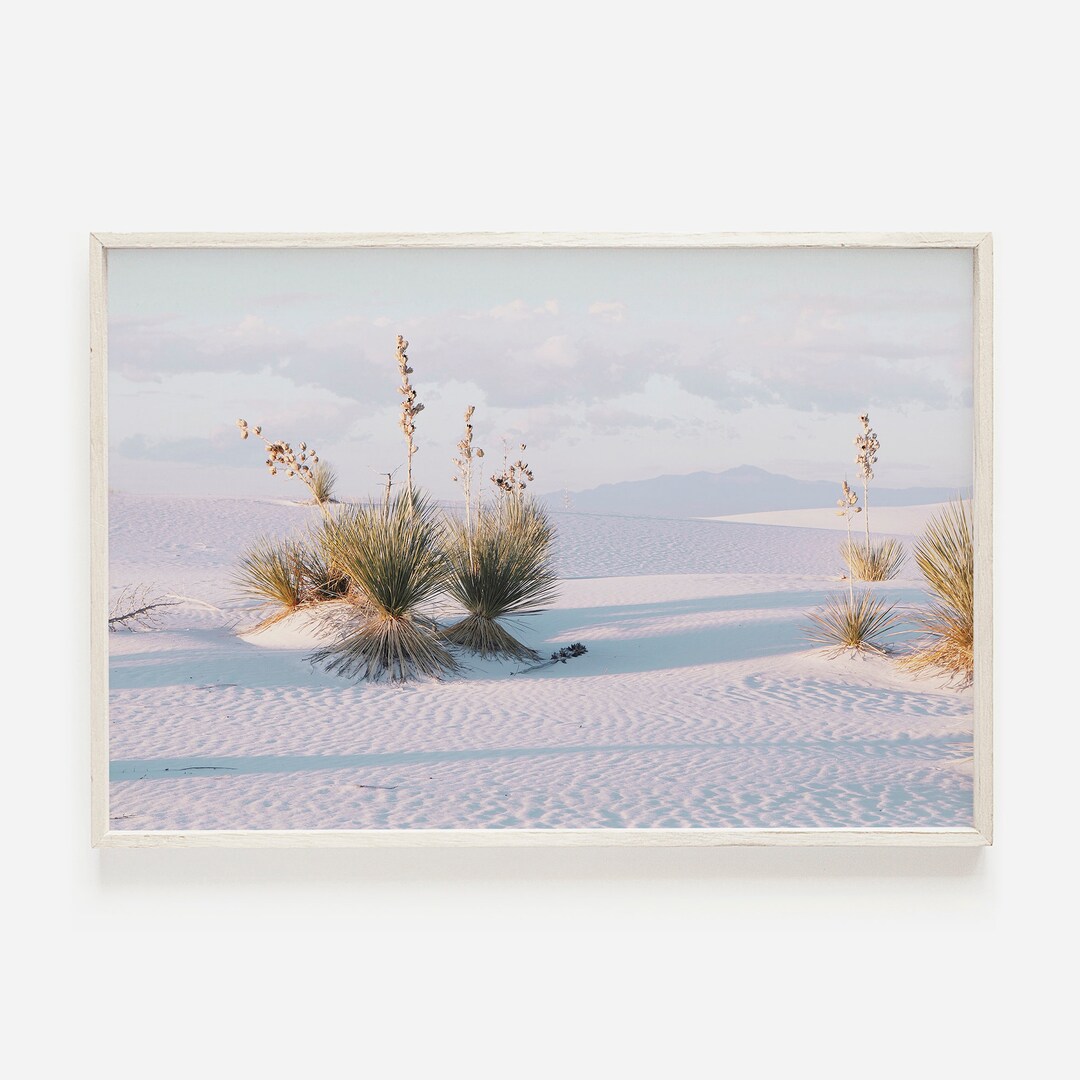 Yucca in White Sands, Desert Sand Dunes Print, National Park Poster ...