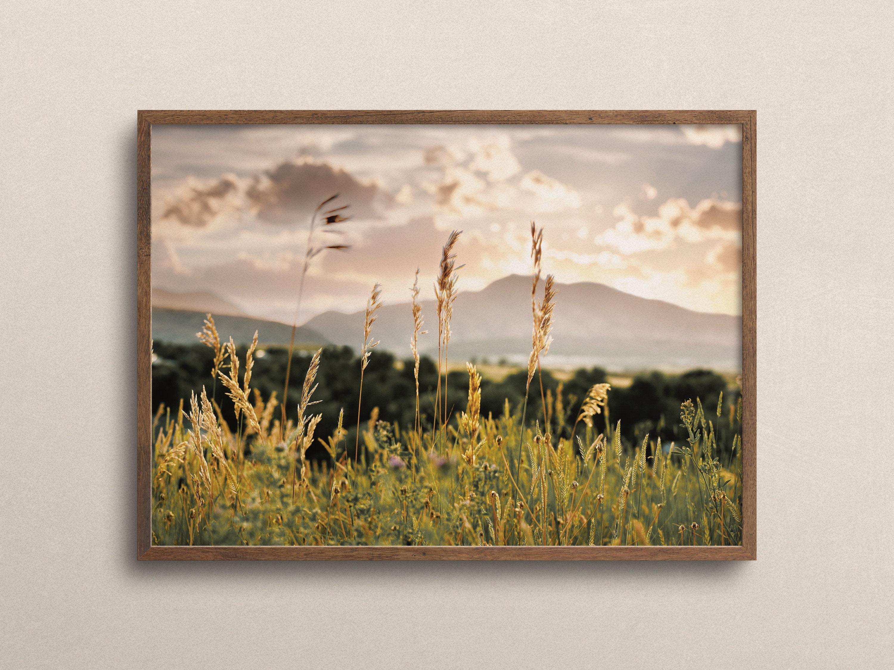 Colorado Mountains, Rustic Wall Art, Colorado Landscape, Nature ...
