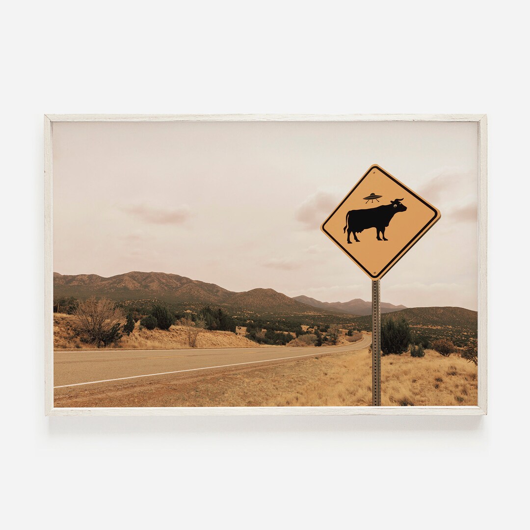 Alien Abduction Sign, Cow Being Abducted, Silly Road Sign, New Mexico ...