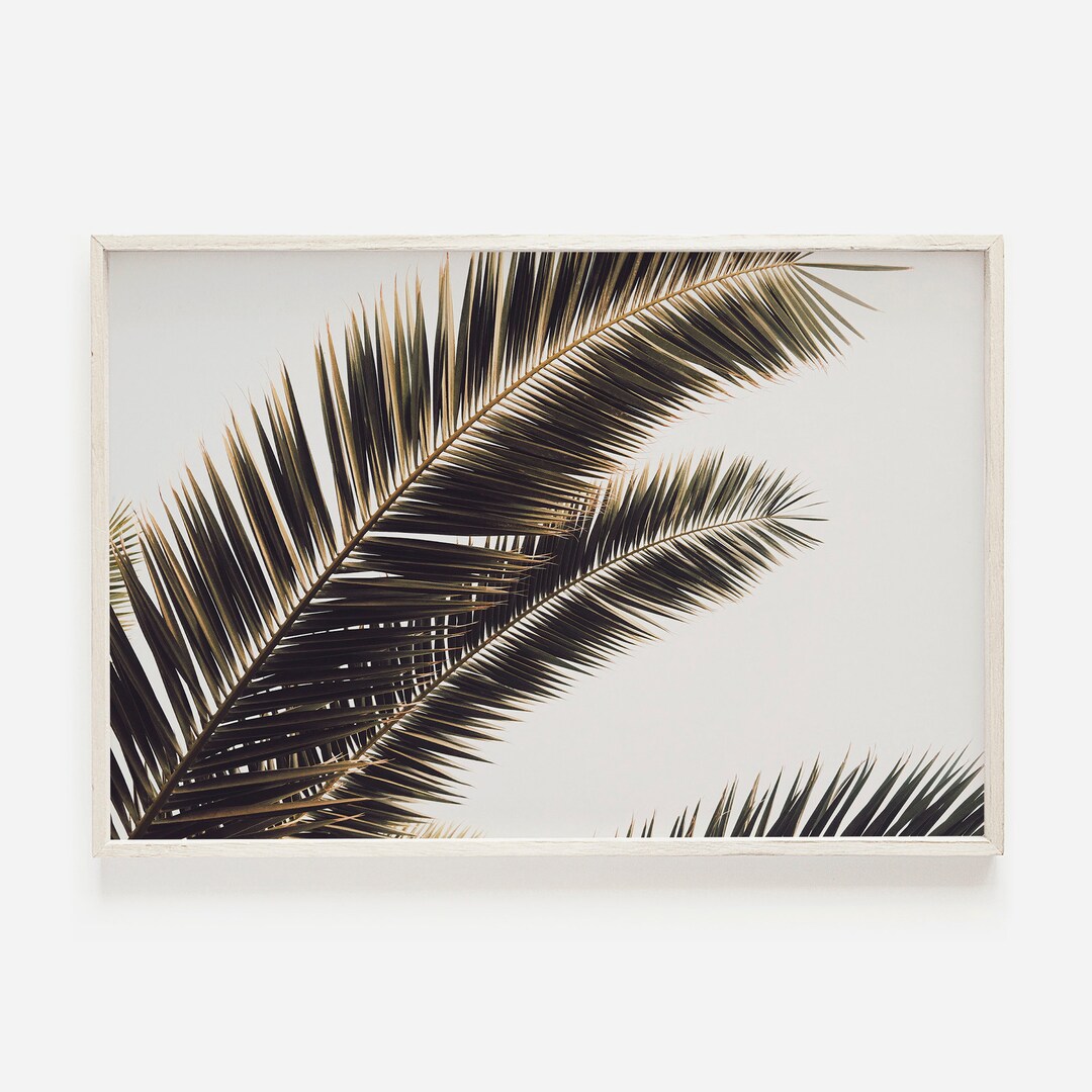 Neutral Palm Leaves Photo, Coastal Home Decor, Boho Palm Printable ...