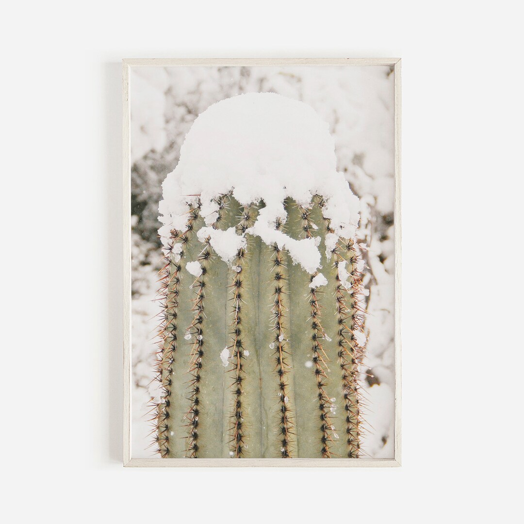 Snowy Cactus Print, Saguaro in Winter, Arizona Desert Wall Art, Saguaro ...