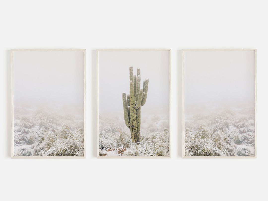 Saguaro in Snow Storm, Desert Triptych, Arizona Desert Snow, 3 Piece ...