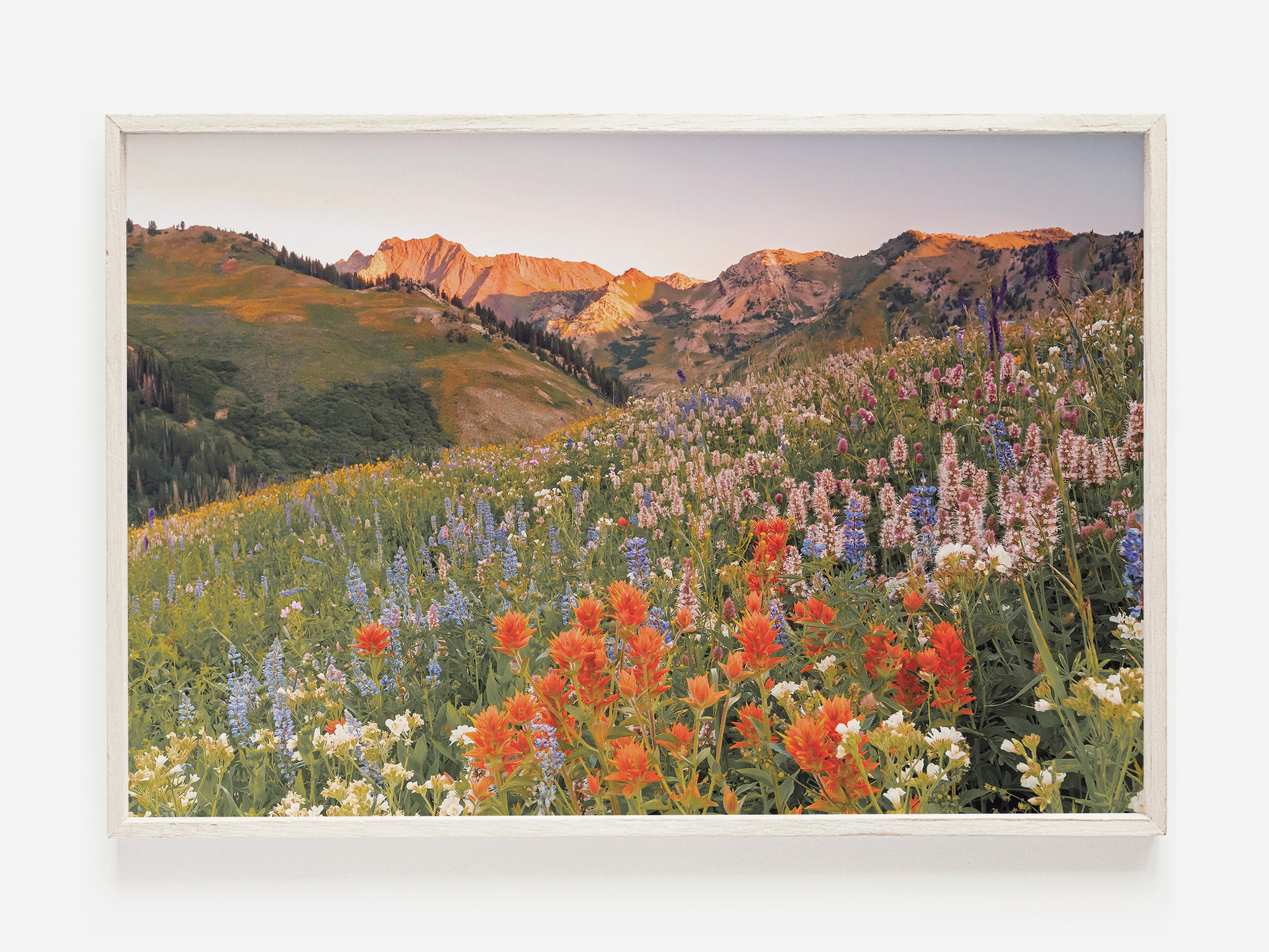 Cascade Springs Utah Utah Landscape Provo Utah Scenery | Etsy