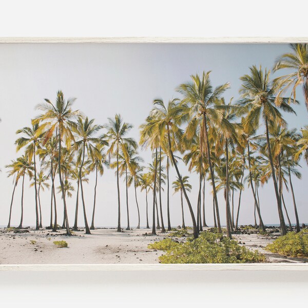 Coconut Print - Etsy