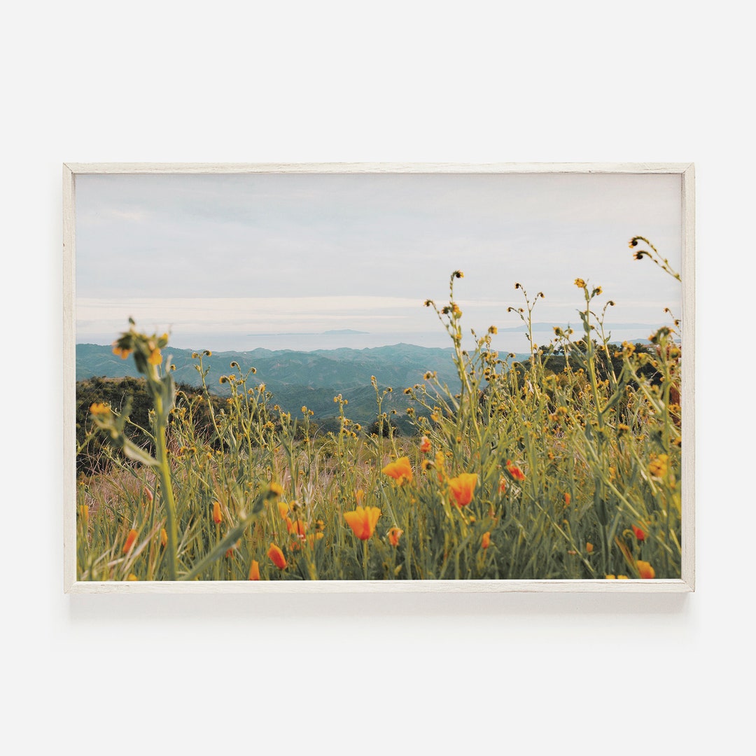 California Poppy Scenery, Poppy Field Wall Art, Poppies on Mountain ...