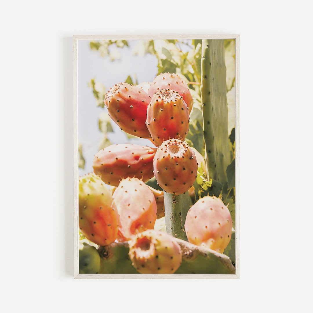 Bright Pink Prickly Pear Fruit, Summer Cactus Print, Prickly Pear Wall ...