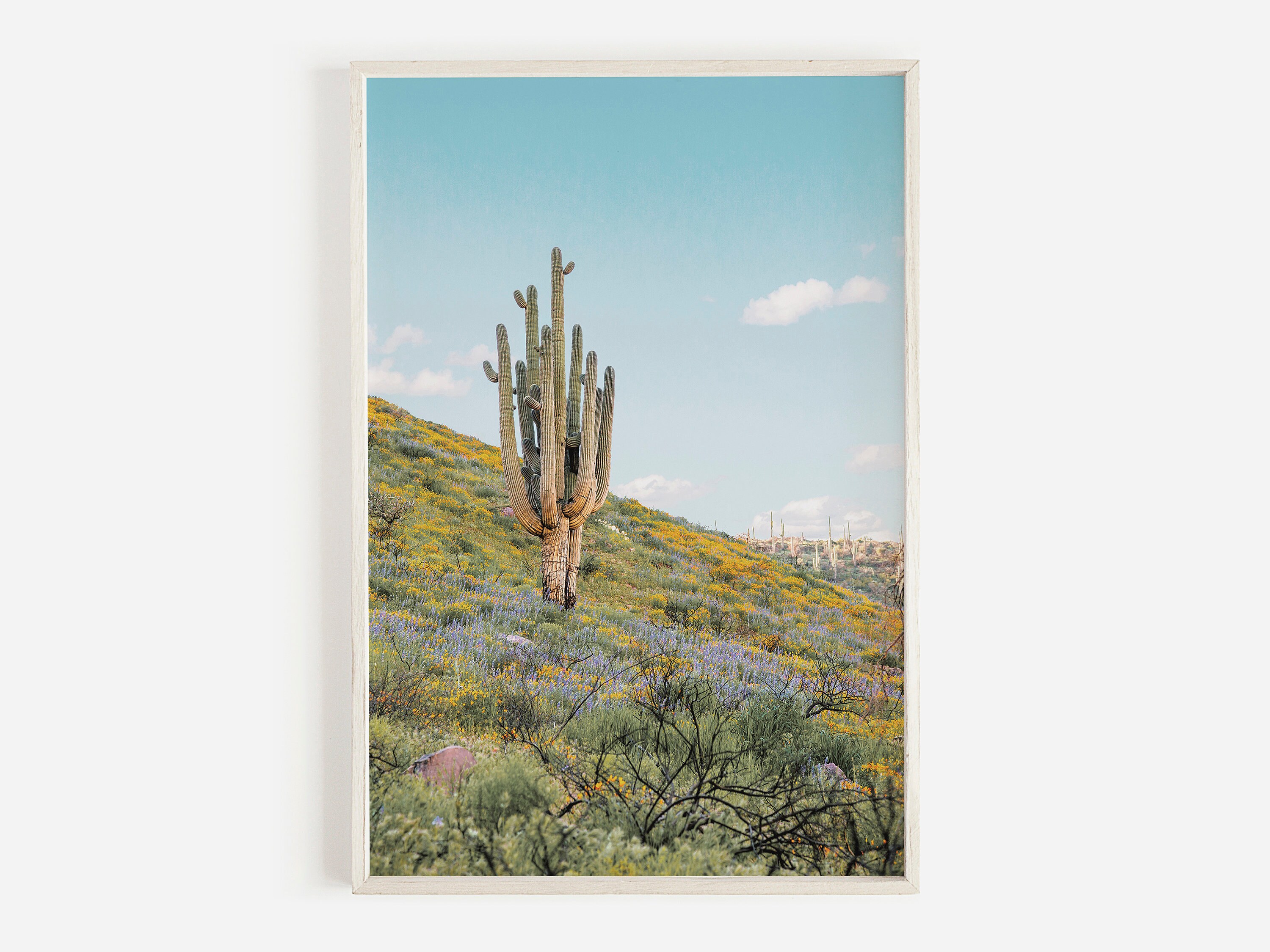 Saguaro Cactus in Spring Desert Flowers Arizona Landscape - Etsy