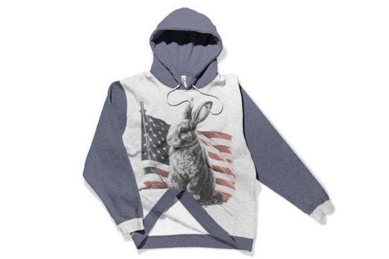 American Patriotic Rabbit July 4th PNG - Etsy