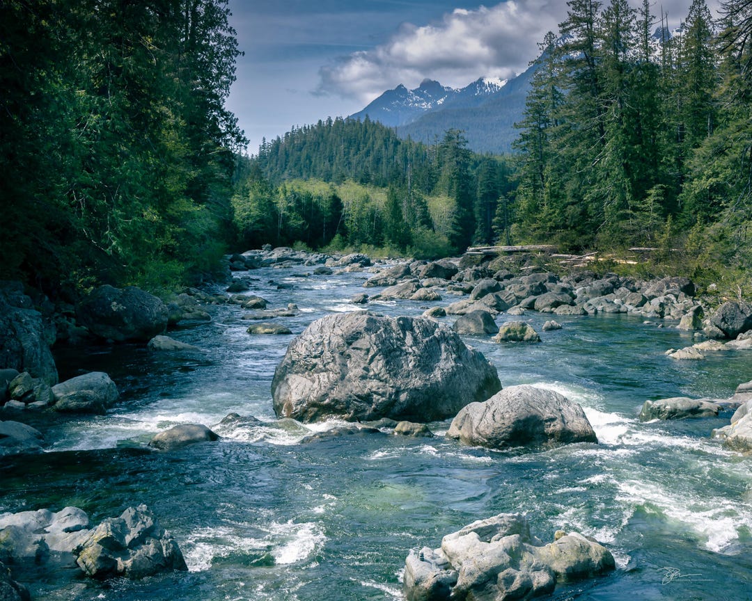 Kennedy River Photography Print: Vancouver Island Travel Photography - Etsy