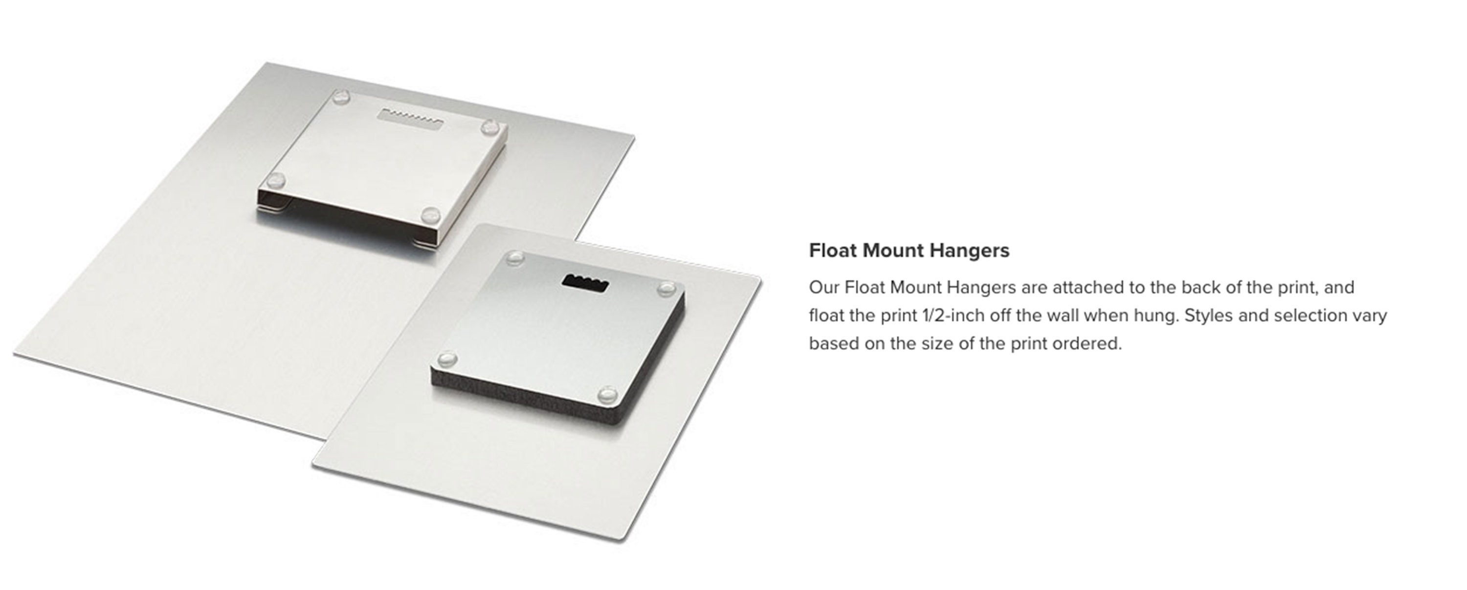 Great White Egret in Flight Photo Print : Wildlife and Bird Photography ...