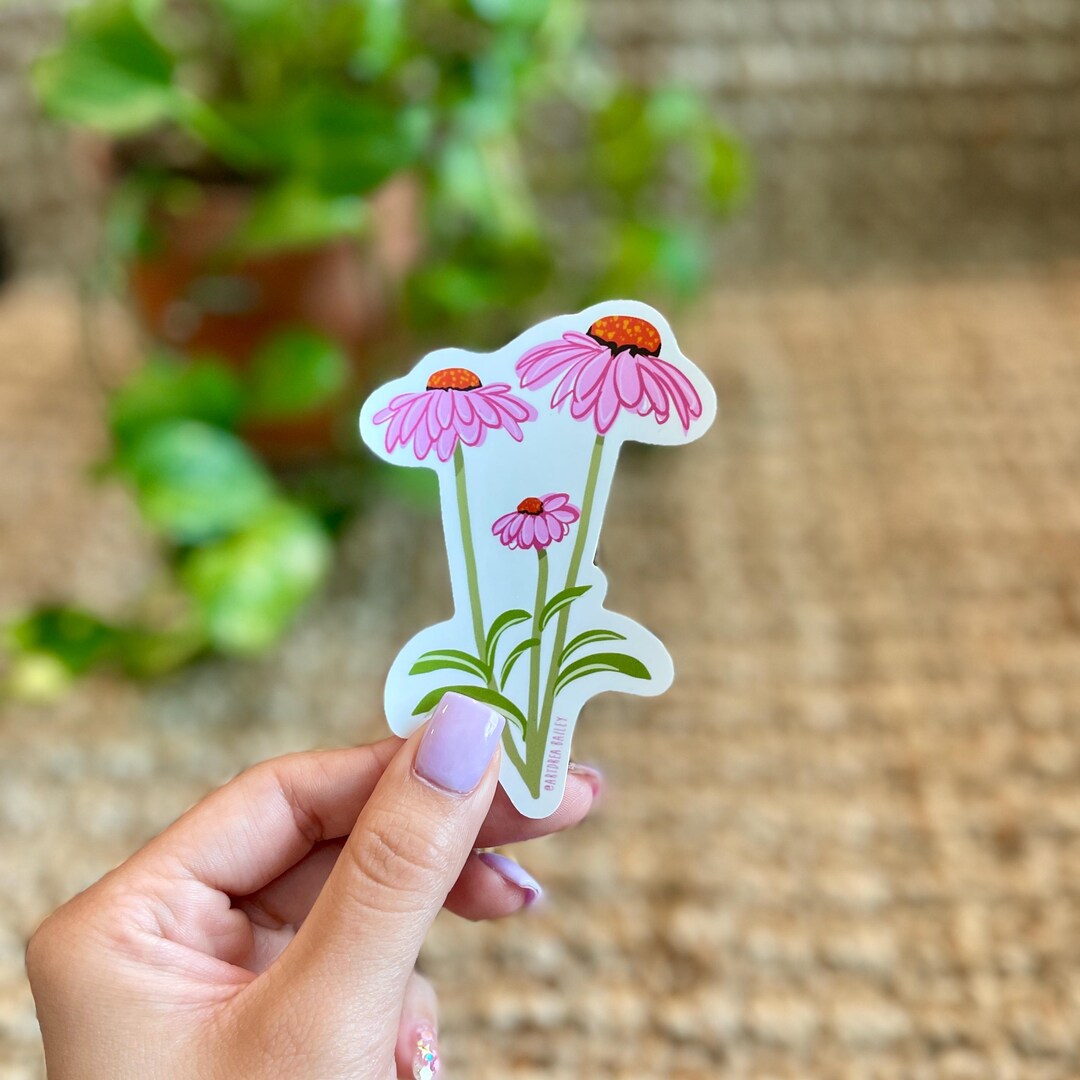 Purple Coneflower 3" Sticker | Native Plants | Flower | Central Texas ...