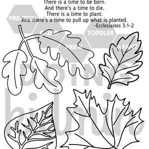 Fall Coloring Pages- Bundle - Etsy