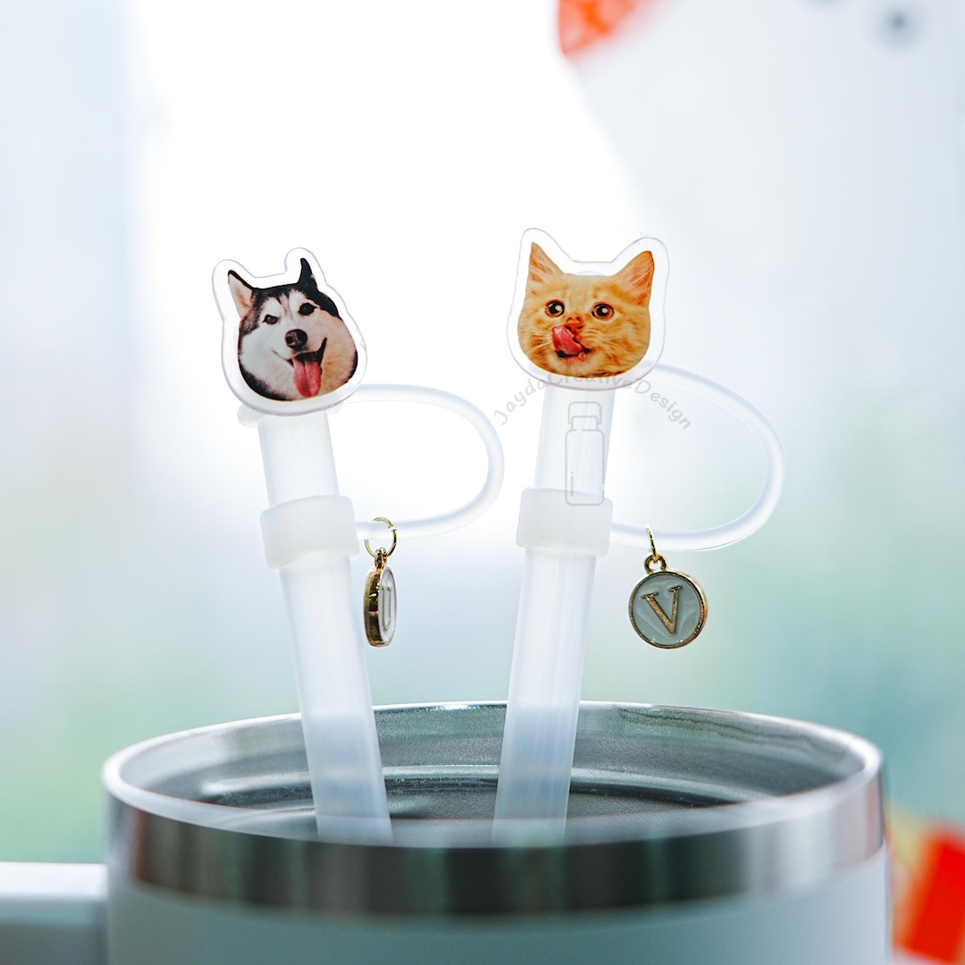 Custom Dog Cat Acrylic Straw Hat,pet Straw Topper for 40oz 30oz Stanely ...