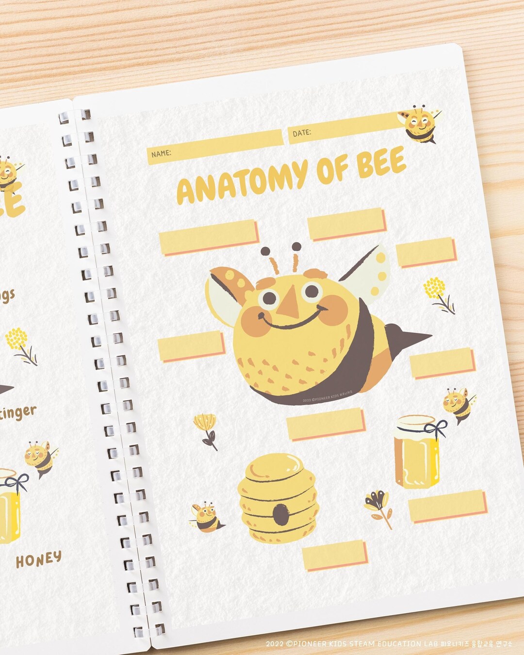 Set of 2 Parts of a Bee Digital Download Anatomy Poster and - Etsy Canada