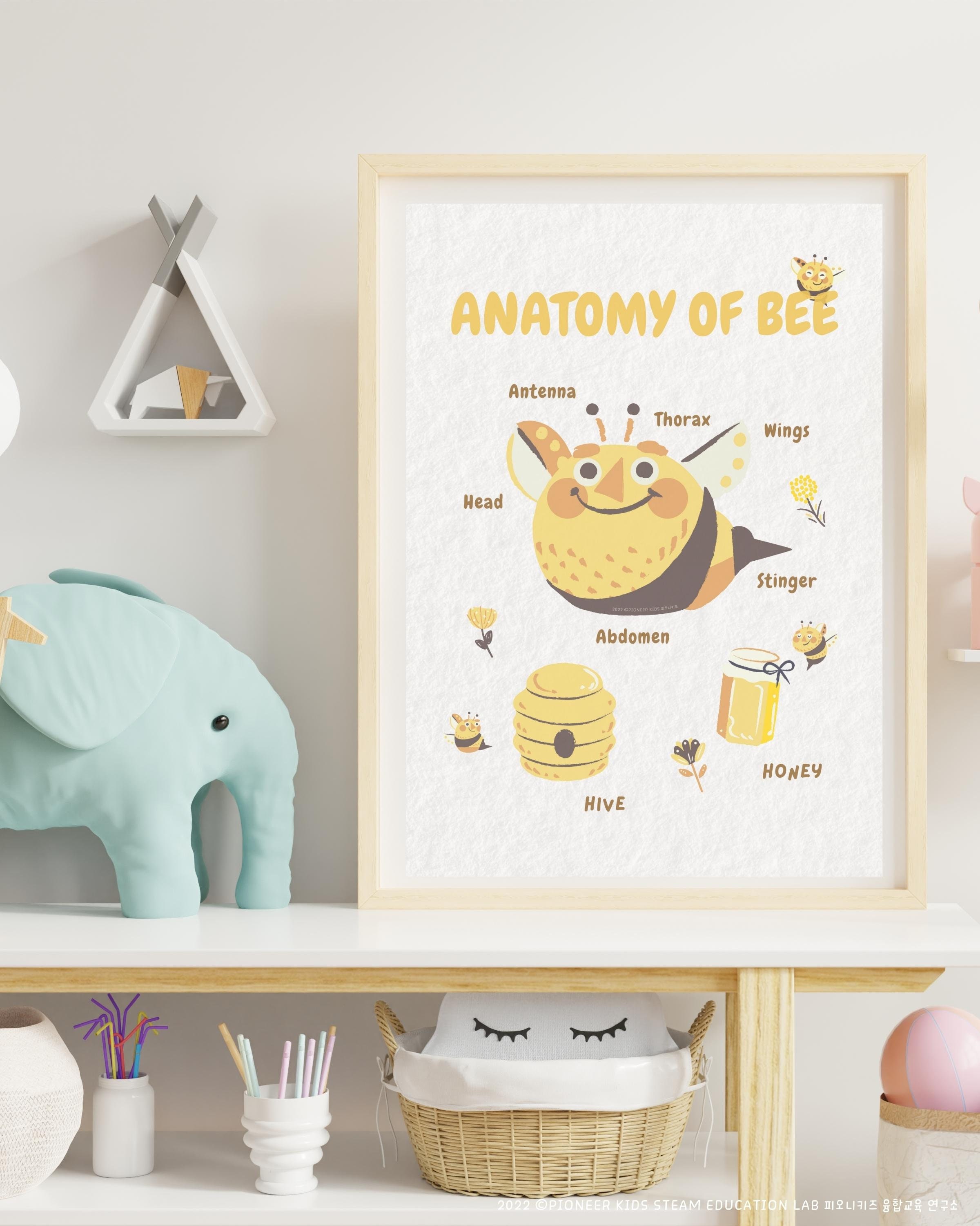 Set of 2 Parts of a Bee Digital Download Anatomy Poster and - Etsy Canada