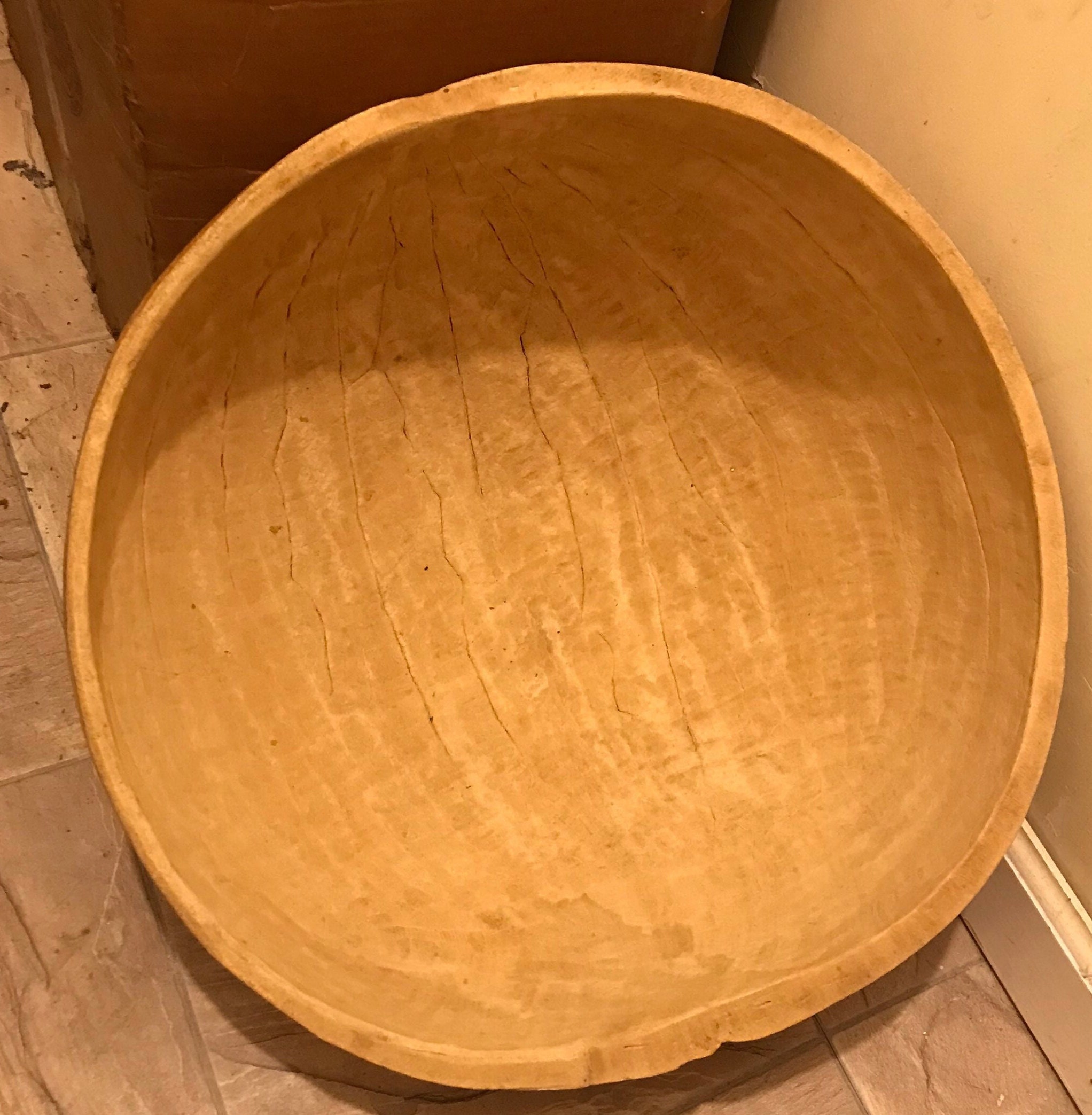 Giant and XL Organic Calabash. Art and Craft. Excellent for Drum Making ...