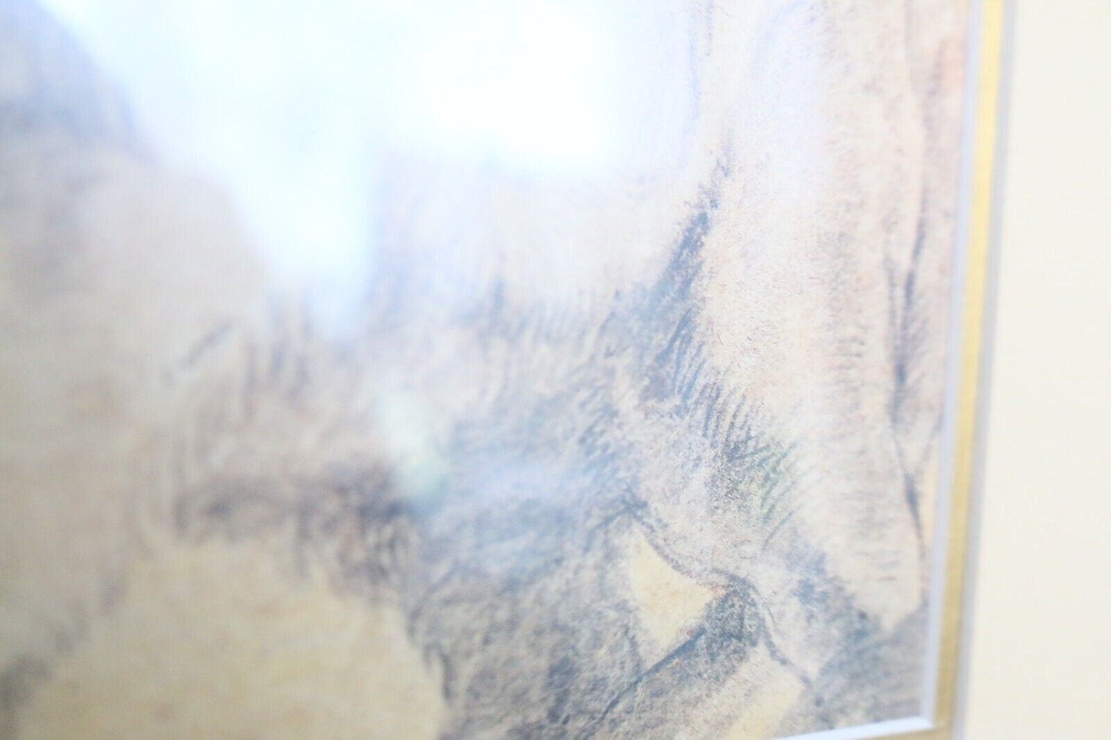 Vintage Lion Art Print: Framed Pencil Style Limited Edition Giclée ...