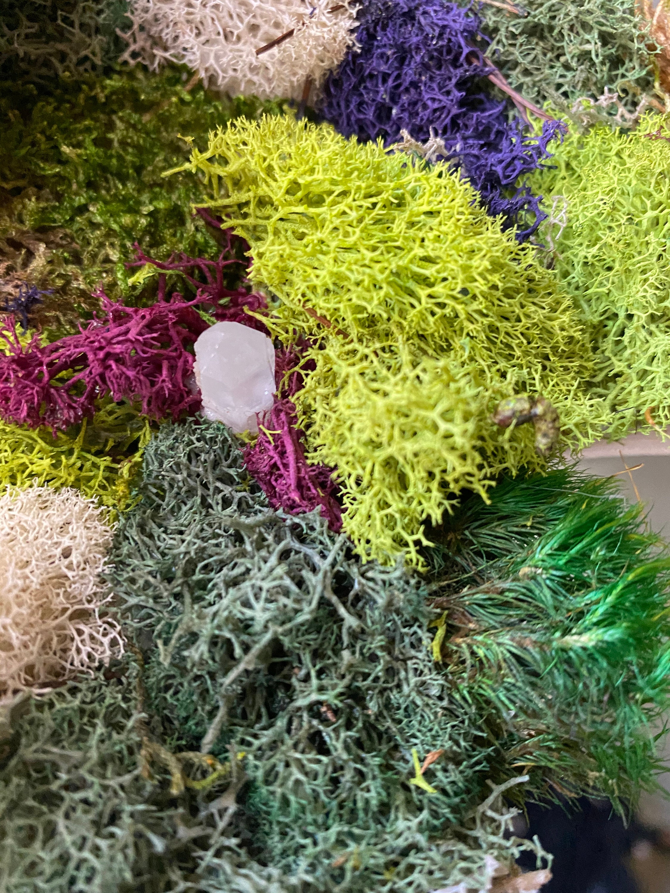 13in Custom Moss Letter - Etsy