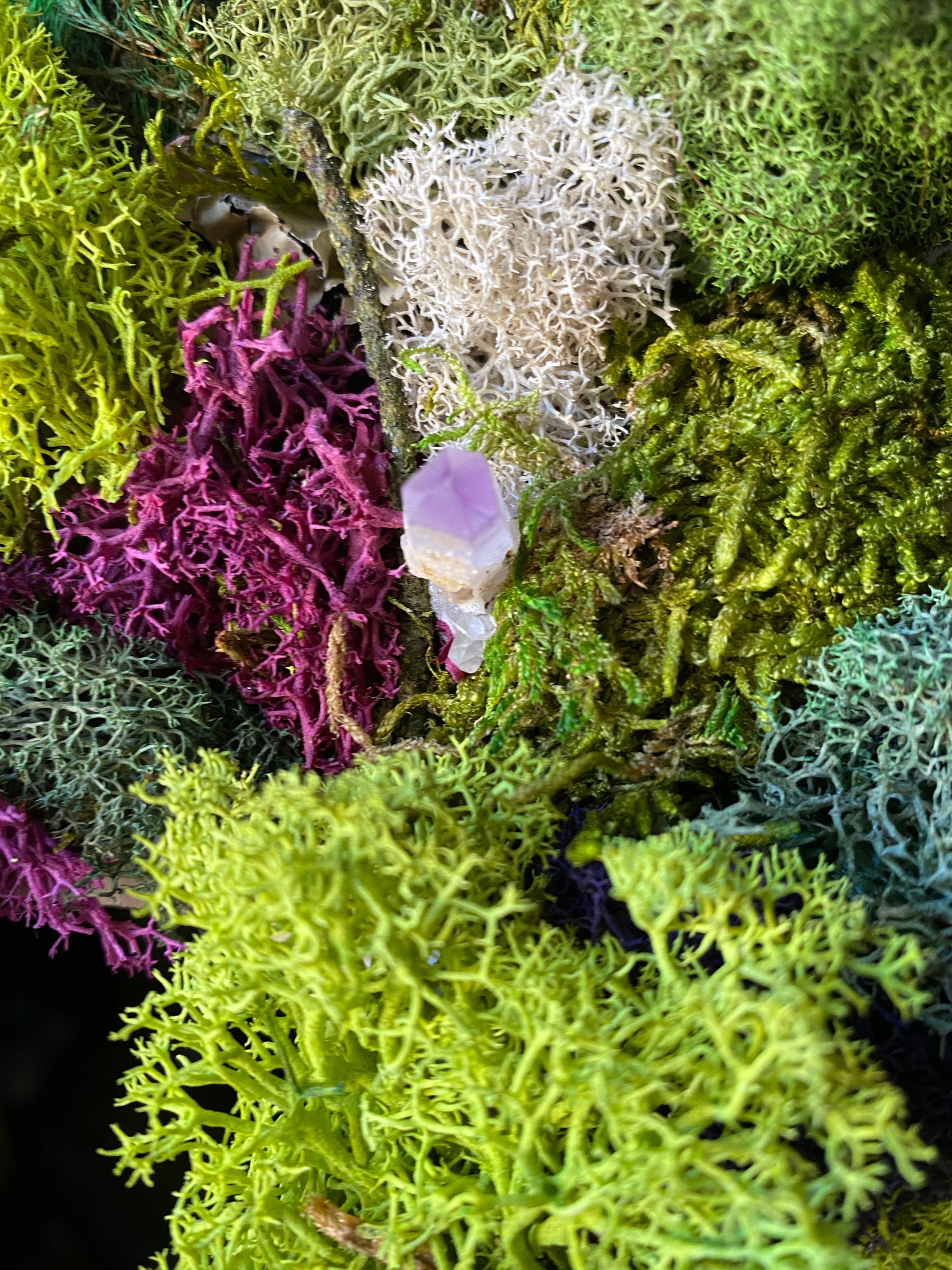 13in Custom Moss Letter - Etsy