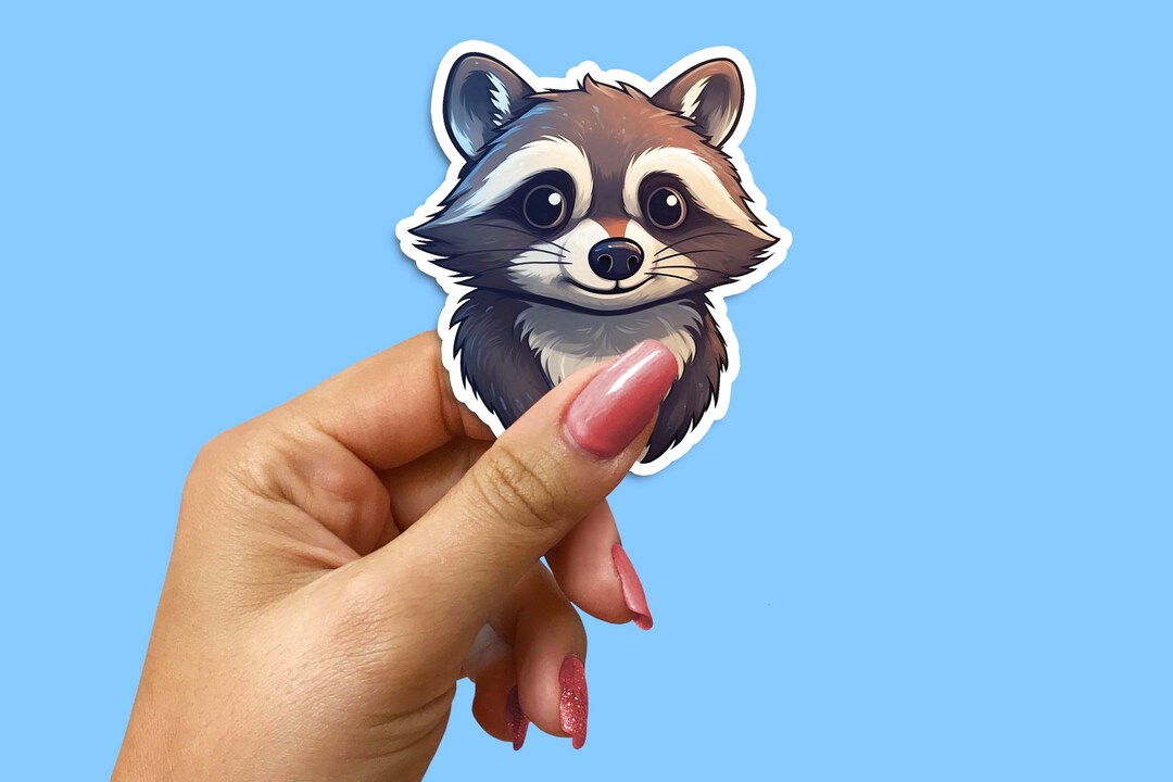 Cute Raccoon Sticker Decal for Laptops, Water Bottles | Curious Raccoon ...