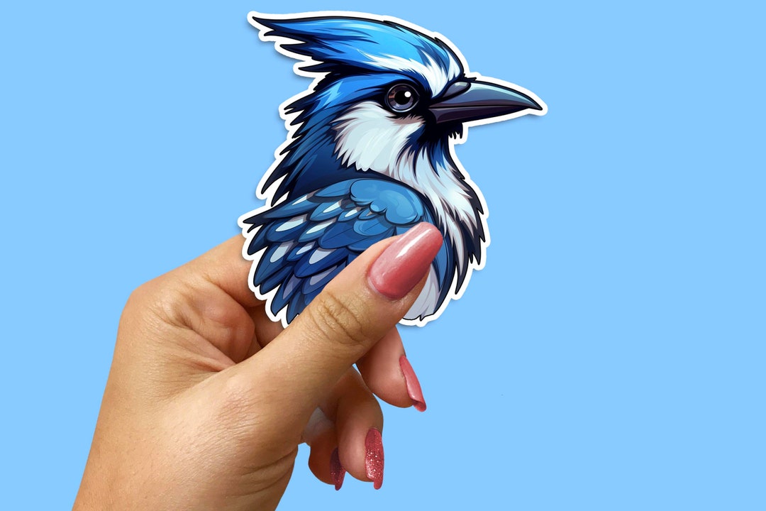 Blue Jay Sticker, Bird Decal, Phones, Laptops, Computers, Gift for Him ...