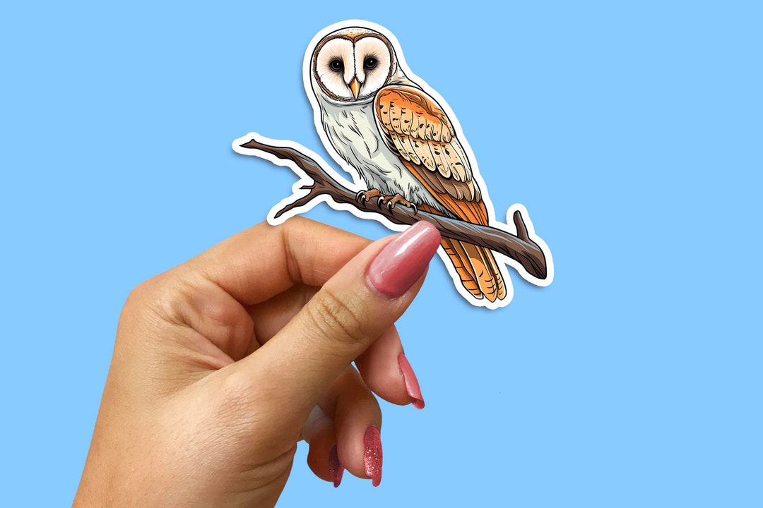 Barn Owl Decal, Vinyl Sticker for Nature Lovers and Decor Enthusiasts ...