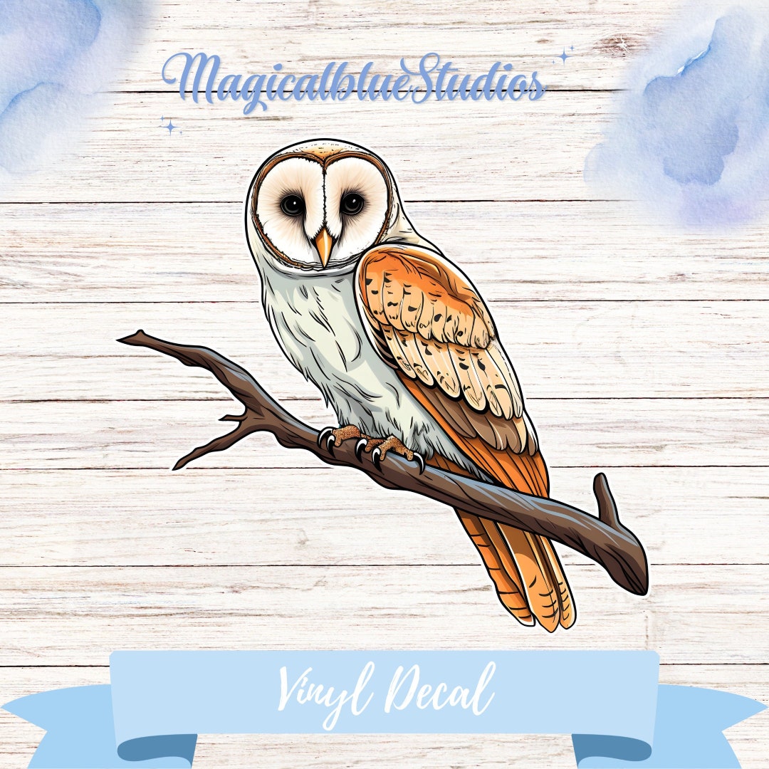 Barn Owl Decal Vinyl Sticker for Nature Lovers and Decor - Etsy UK