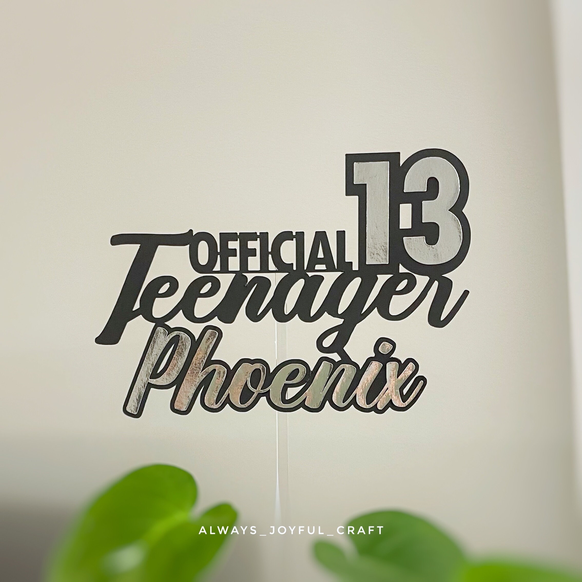 Official Teenager/ Cake Topper/ 13th Birthday Topper/ Teenager/ 13 ...