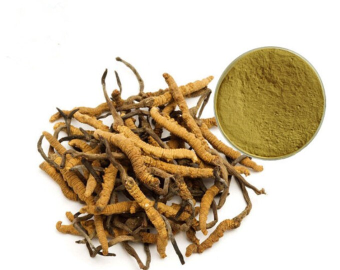 Fermented Cordyceps Sinensis Mycelium Mushroom Powder, 8 Ounce ...
