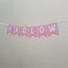 Custom Name Birthday Banner: Blush Pink Party Decoration - Etsy