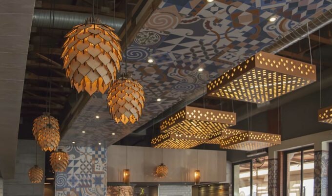 Protea Lights - Etsy