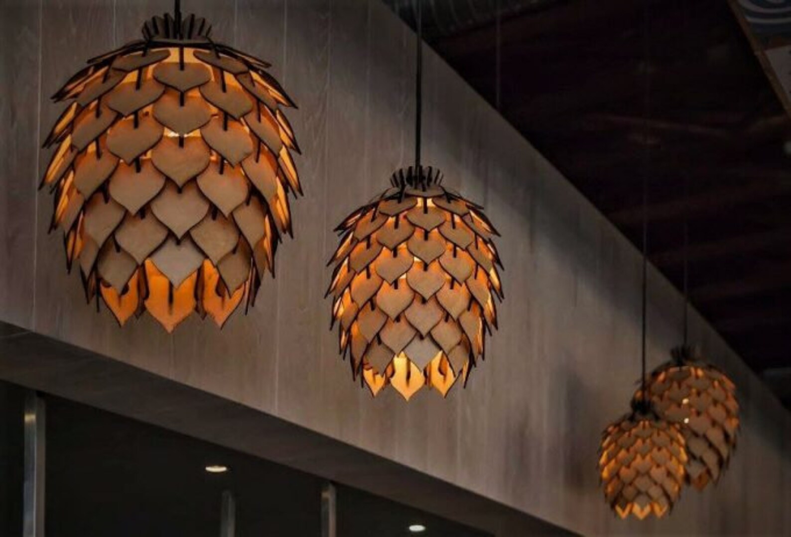 Protea Lights - Etsy