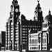 Liverpool Liverbird Skyline Print, Liverpool FC - You'll Never Walk ...