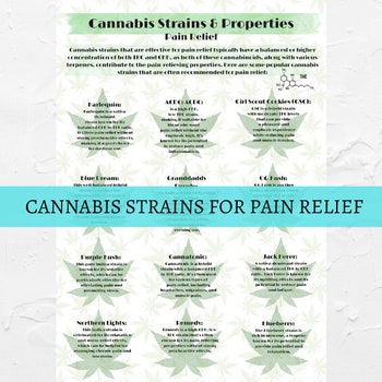 PathOfThePendulum - Etsy