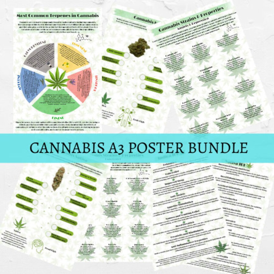 PathOfThePendulum - Etsy