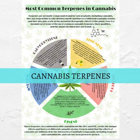 PathOfThePendulum - Etsy