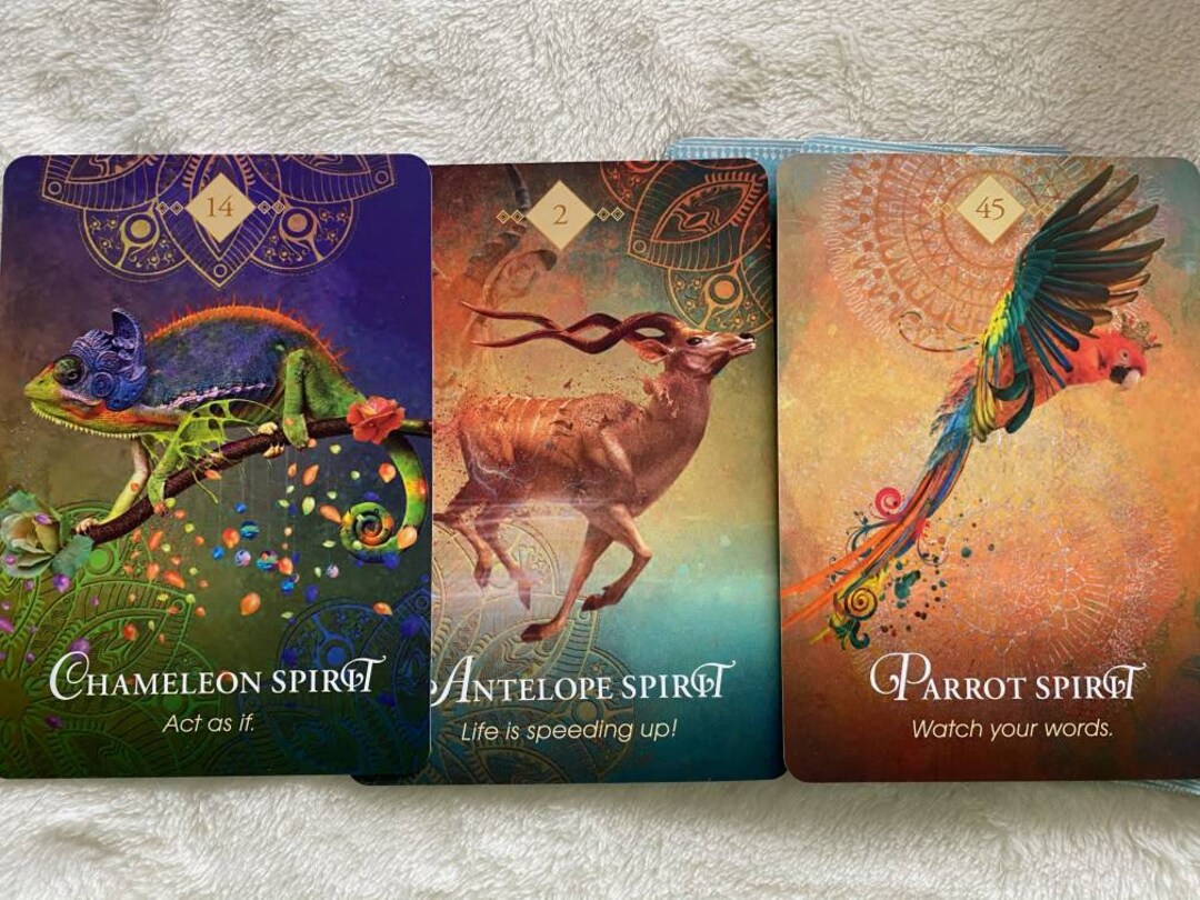Oracle Spirit Animal Reading - Etsy