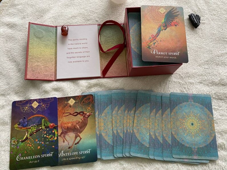 Oracle Spirit Animal Reading - Etsy