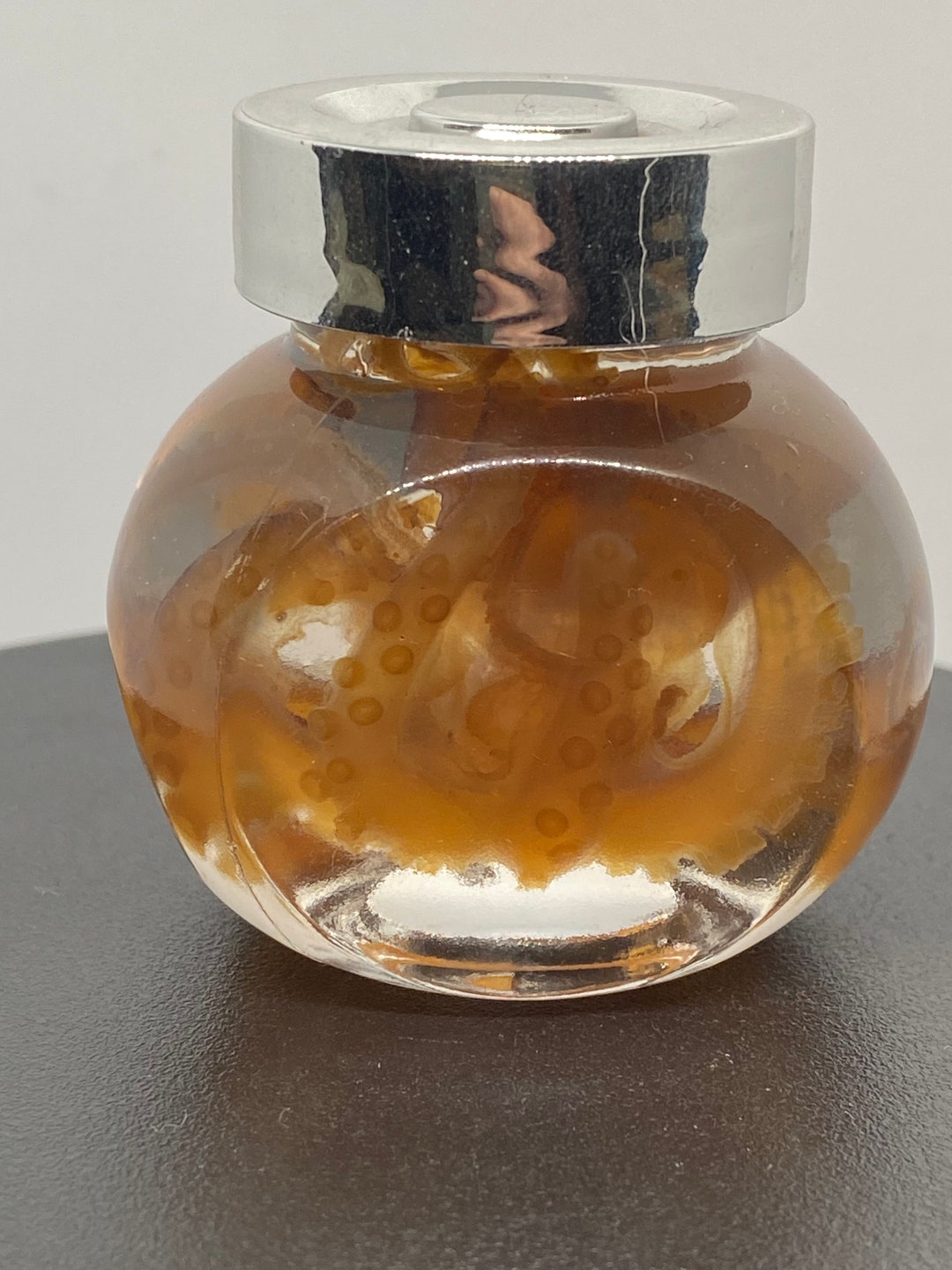 Clear Octopus Wet Specimen, Octopus in Small Flat Bottomed Glass Globe ...