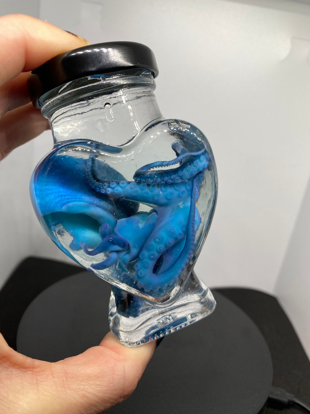 Blue Stained Little Bit Wonky Octopus Wet Specimen in Glass - Etsy