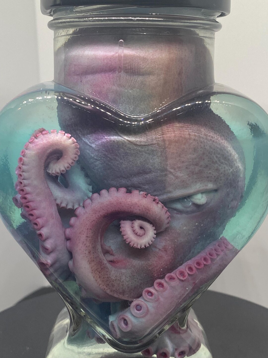 Octopus Wet Specimen in Glass Heart Jar, Bubblegum Range Stained ...