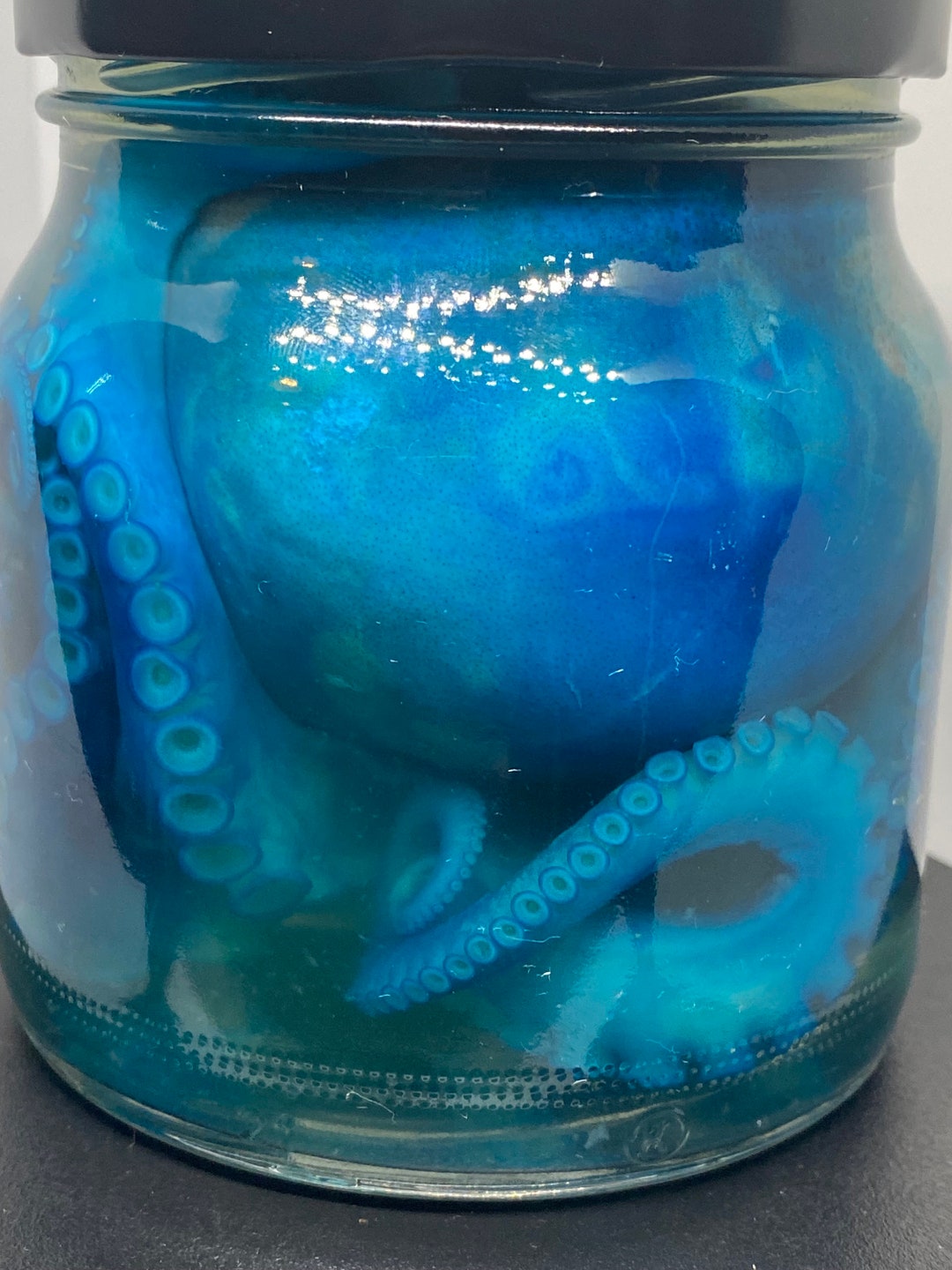 Large Wonky Octopus Wet Specimen, Blue Stained and Preserved Octopus in ...