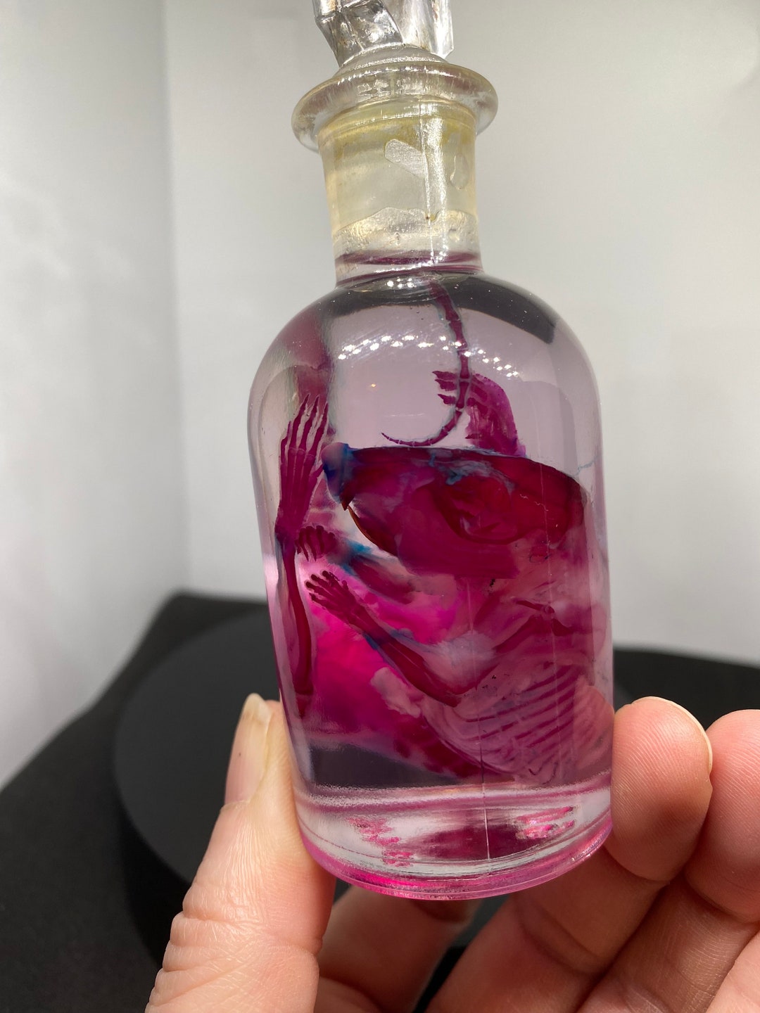 Diaphonized Multimammate in Authentic Apothecary Bottle - Etsy