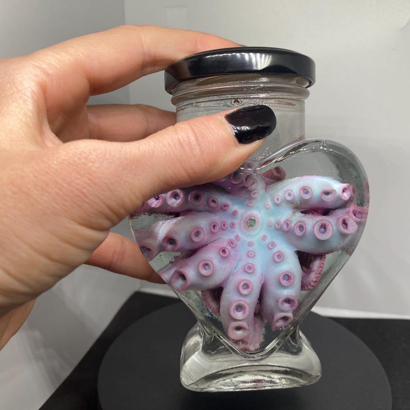 Wet Specimens - Etsy