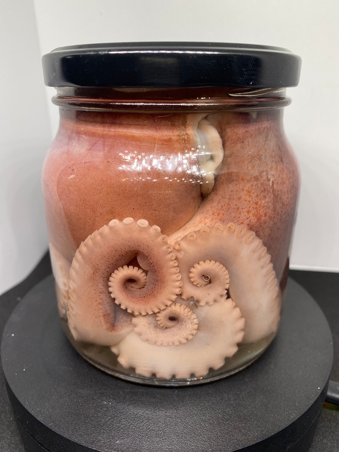 Large Octopus Wet Specimen, Naturally Preserved Octopus in Isopropyl ...