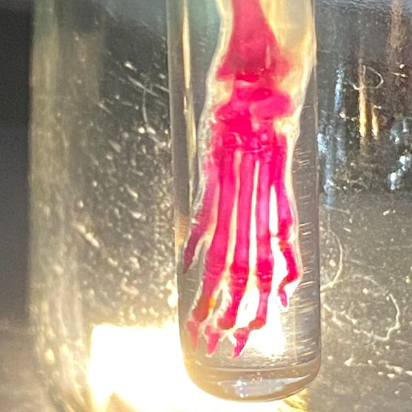 Diaphonized - Etsy