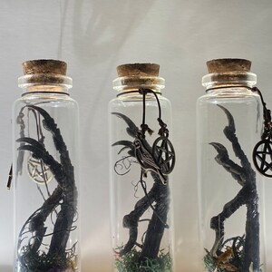 Dried Crow Feet in Large Glass Vials Curiosities Witchcraft - Etsy UK
